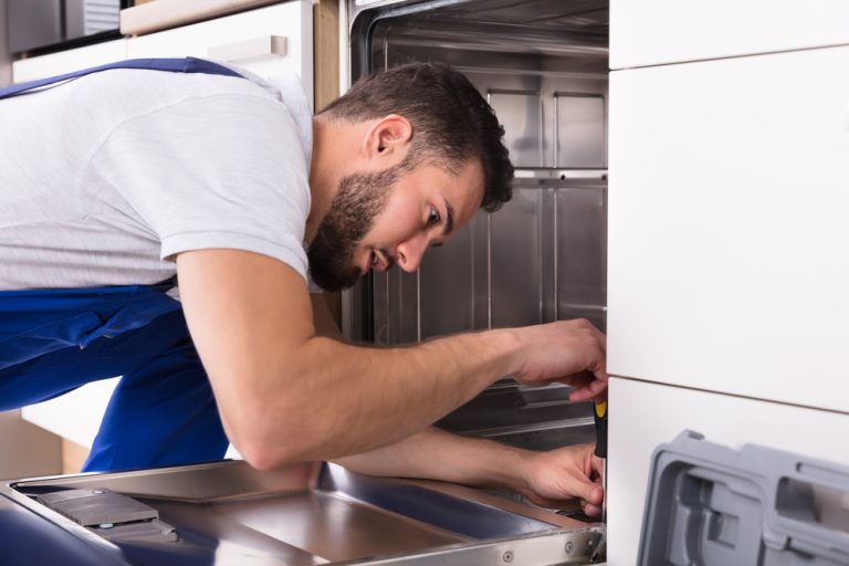 Spulmaschine Dichtung Lost Sich